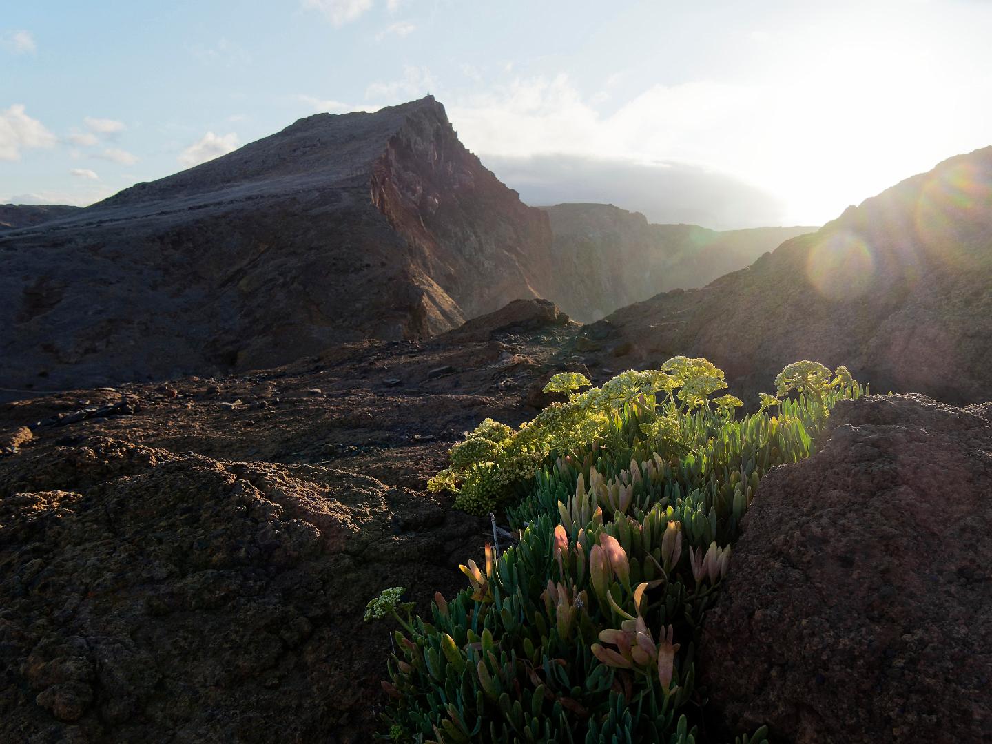 Madeira